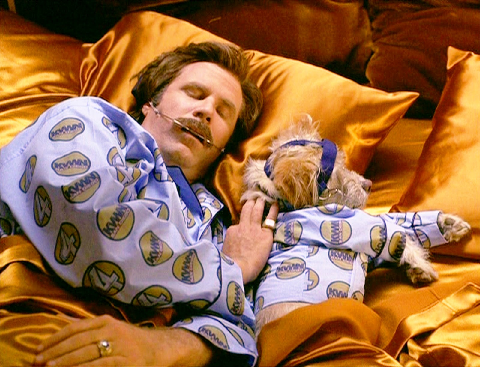 Top 5 - Movie Pets - Kevflix